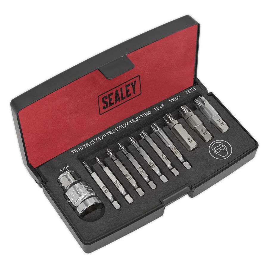 Sealey TRX-Star* Fitting Extractor Set 11pc – GS Workwear